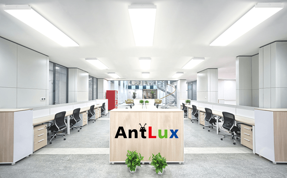 What is the Best LED Light for Office Work?